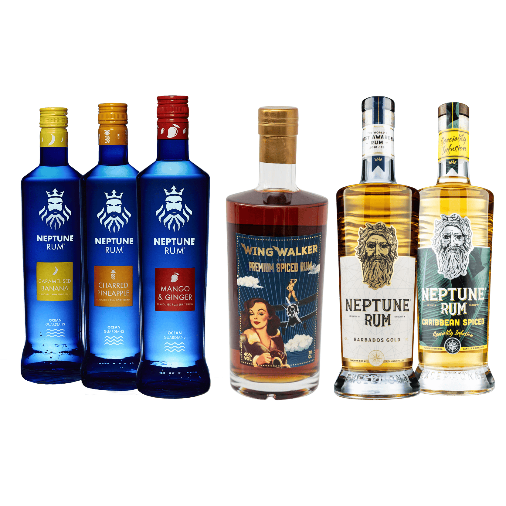 Party Bundle - Case of 6 x 70cl bottles - save £30!